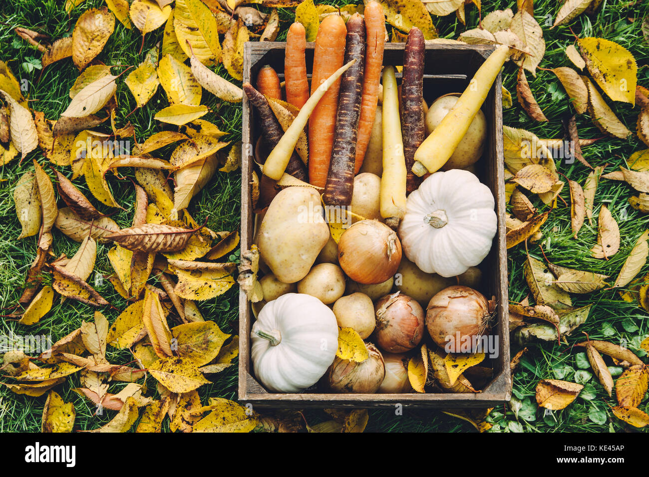Autumn yield hi-res stock photography and images - Alamy