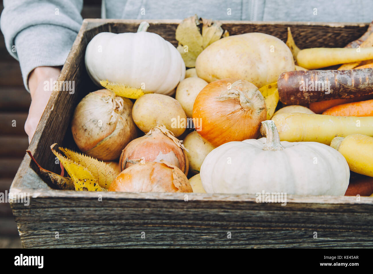 Harvest colors hi-res stock photography and images - Alamy