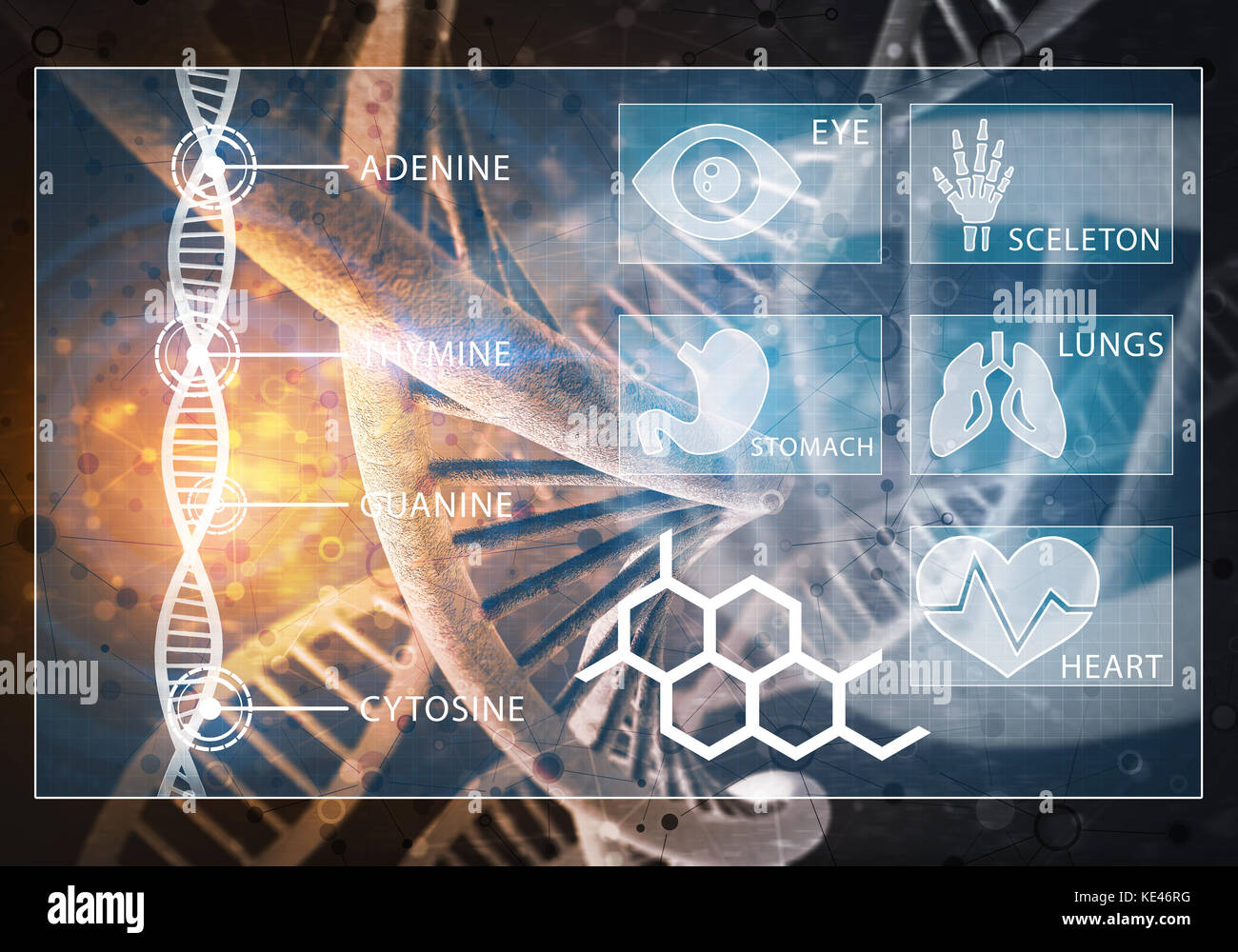Medicine user interface Stock Photo - Alamy