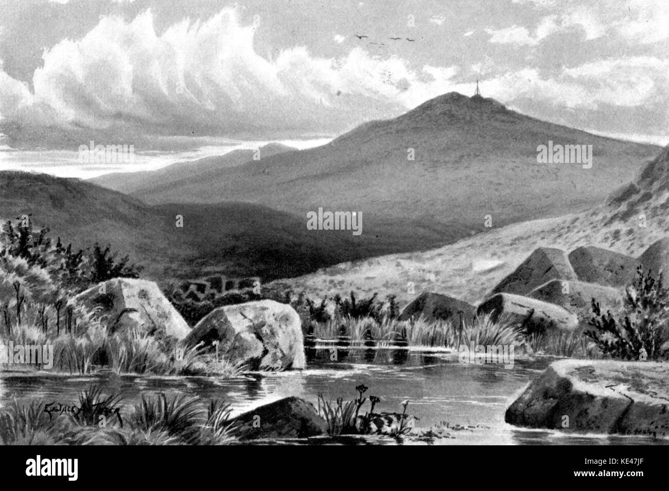 Yes tor hi-res stock photography and images - Alamy