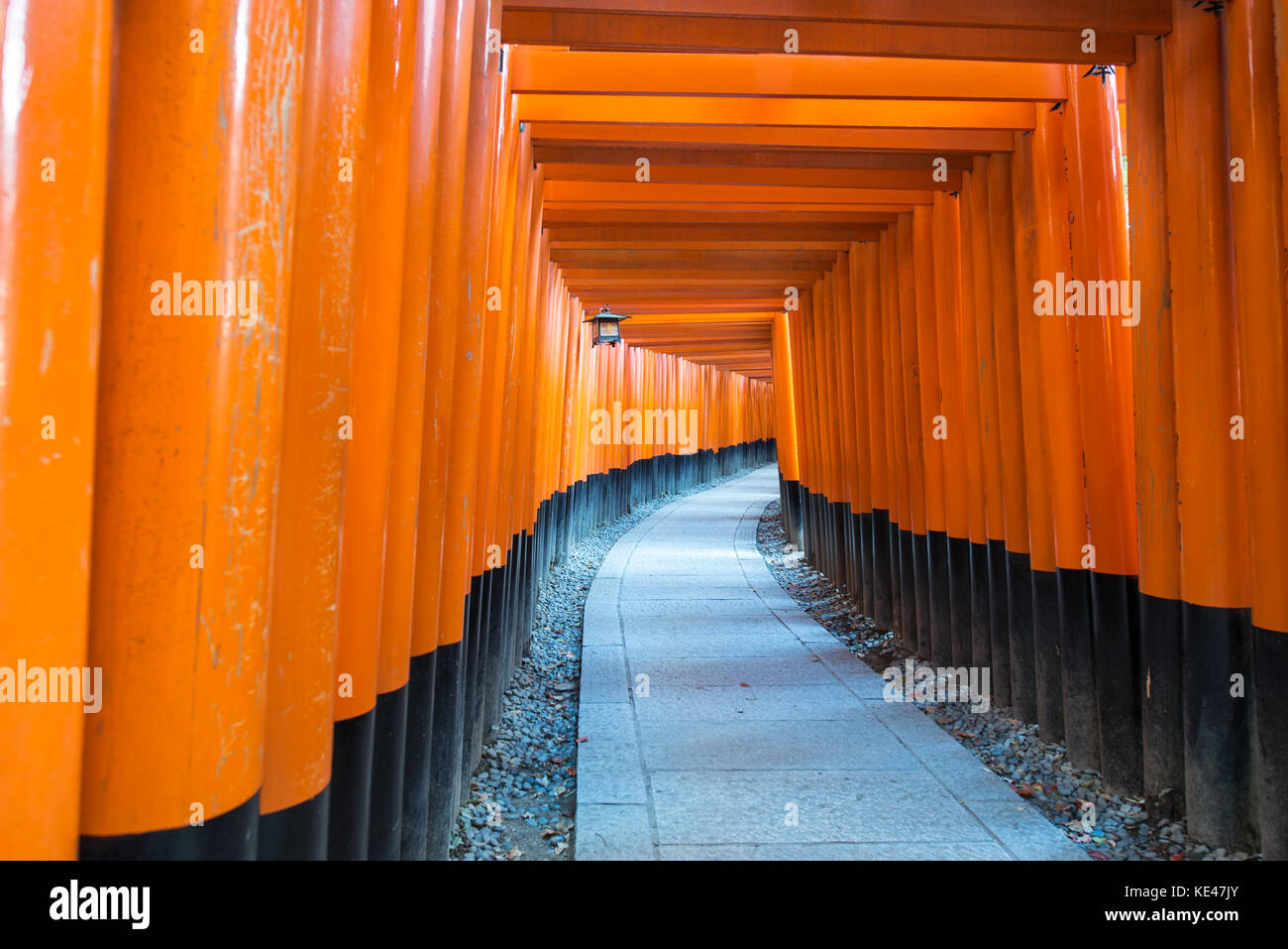 Path of oranges japanese gates in Fushimi Inari, kyoto Stock Photo - Alamy