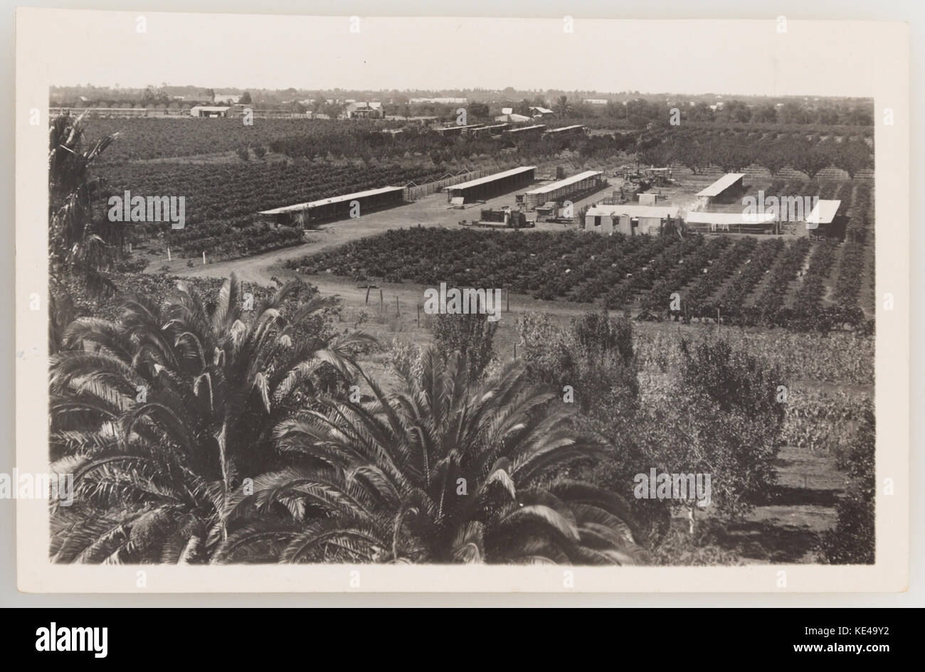 The '920644 Series 09 Irrigation' refers to historical images from ...