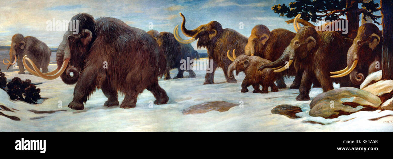 Ice age animals hi-res stock photography and images - Alamy