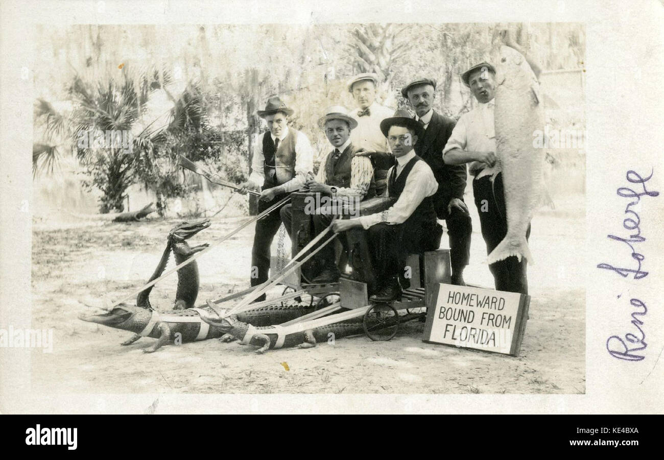 Homeward Bound from Florida BAnQ P748S1P2978 Stock Photo - Alamy