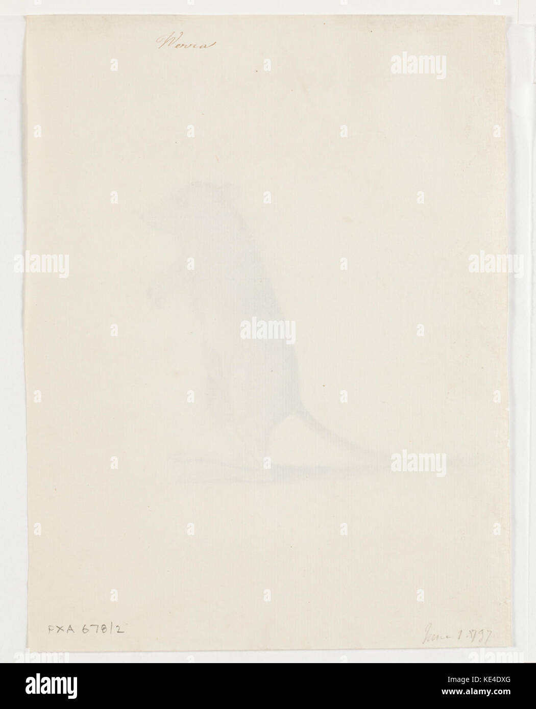 This image, titled *1003112 2 verso*, presents a detailed and ...