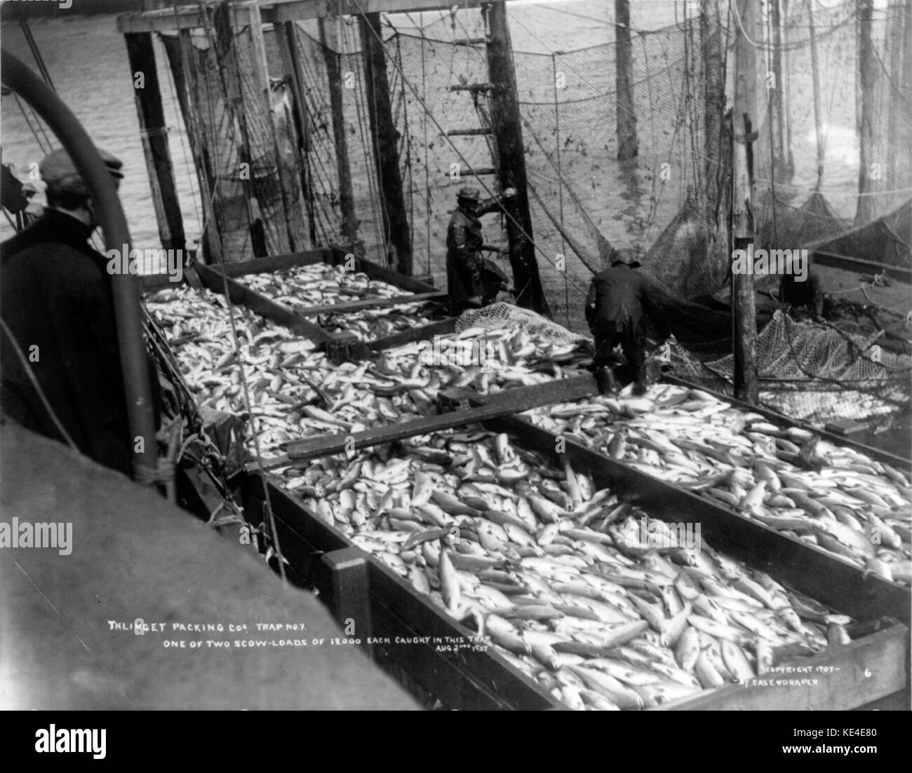 Sustainable salmon Black and White Stock Photos & Images - Alamy