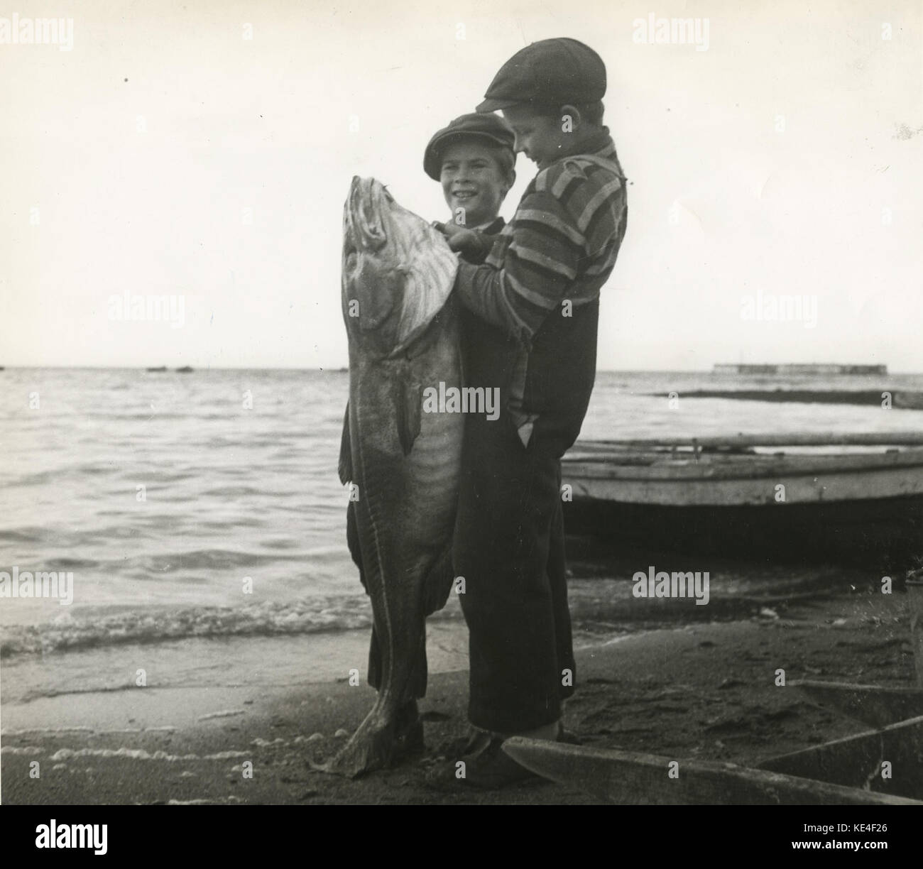 Hooking a big cod fish near Gascons, Quebec (17080683402 Stock Photo ...