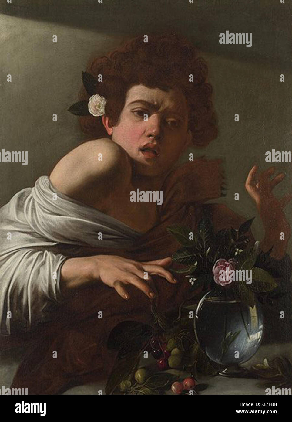 Hagedis hi-res stock photography and images - Alamy