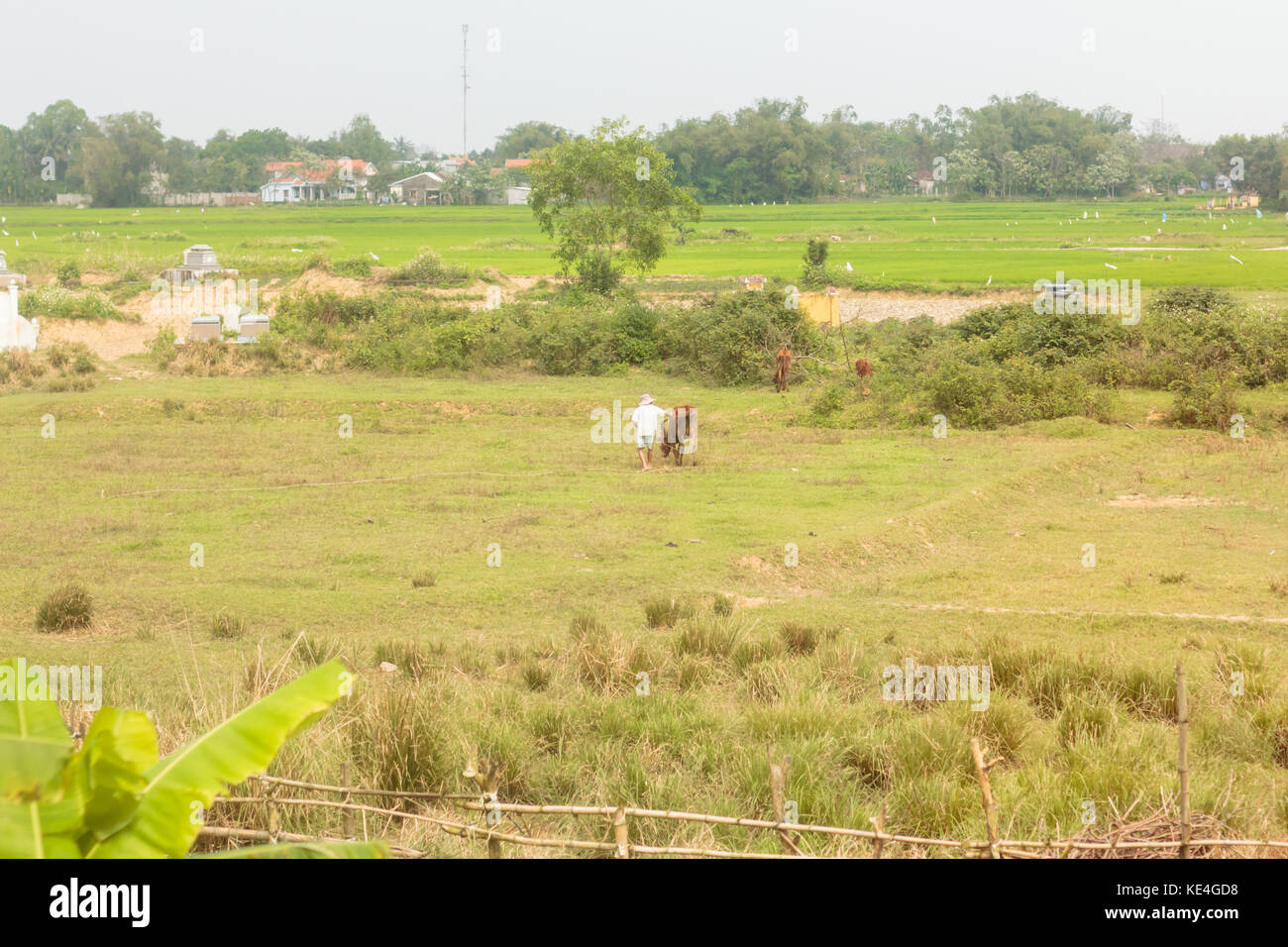 Local crop producers and shot from a travelling train Stock Photo - Alamy