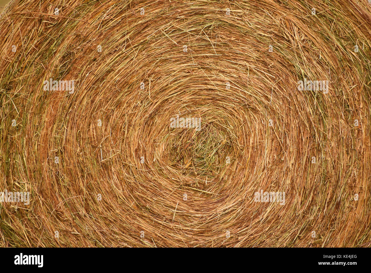 Hay bale closeup with texture - an agriculture background image Stock ...