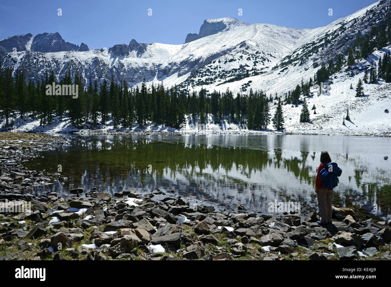 Hiker at Stella Lake with Mount Wheeler in fresh snow, Great Basin ...