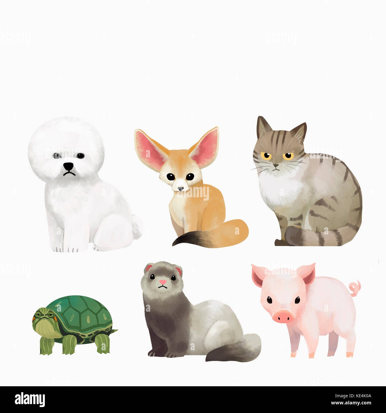 Various pet animals Stock Photo - Alamy