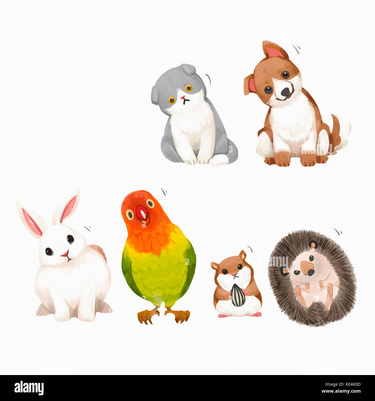 Various pet animals Stock Photo - Alamy