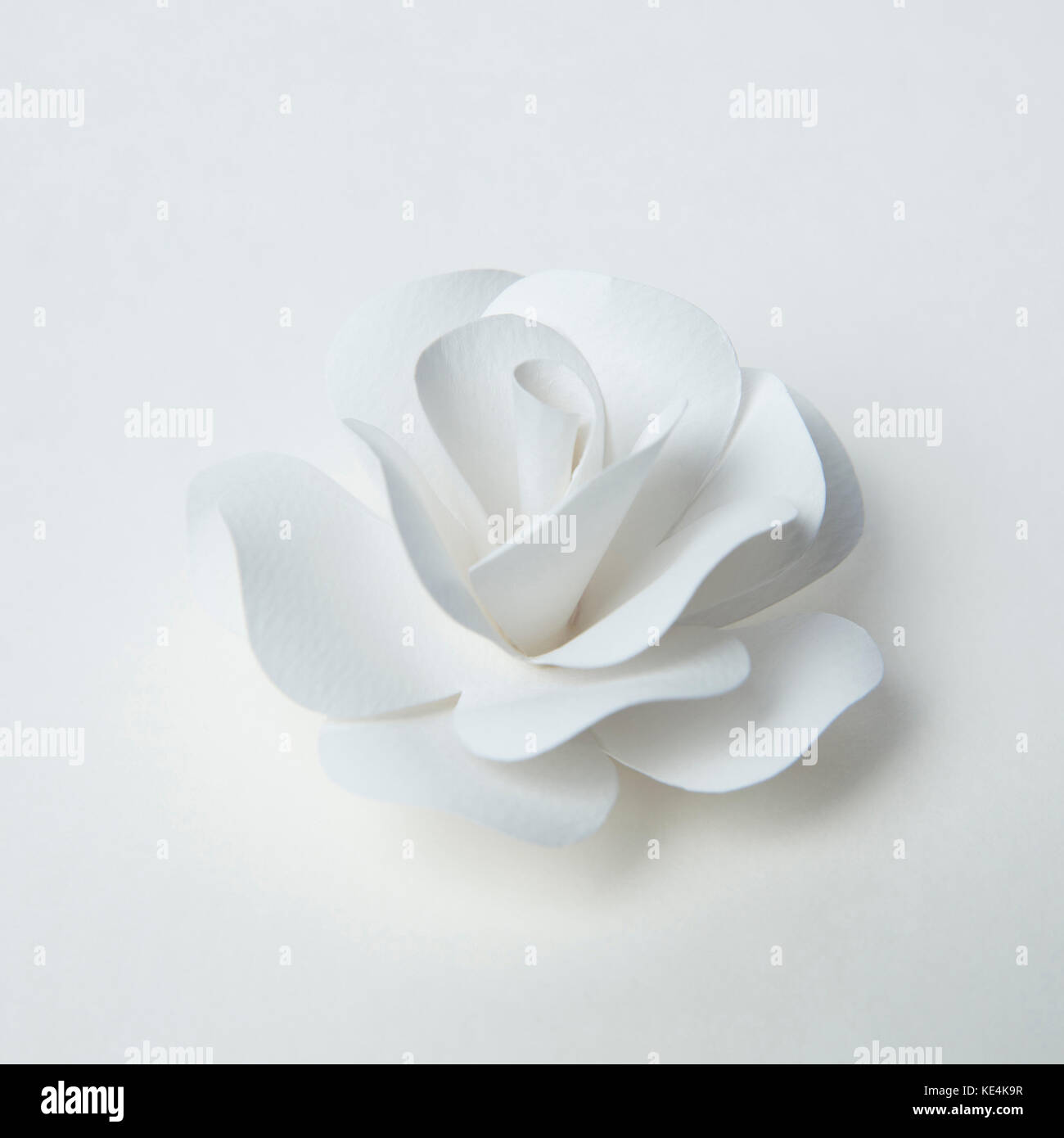 One white flower, paper artwork Stock Photo - Alamy