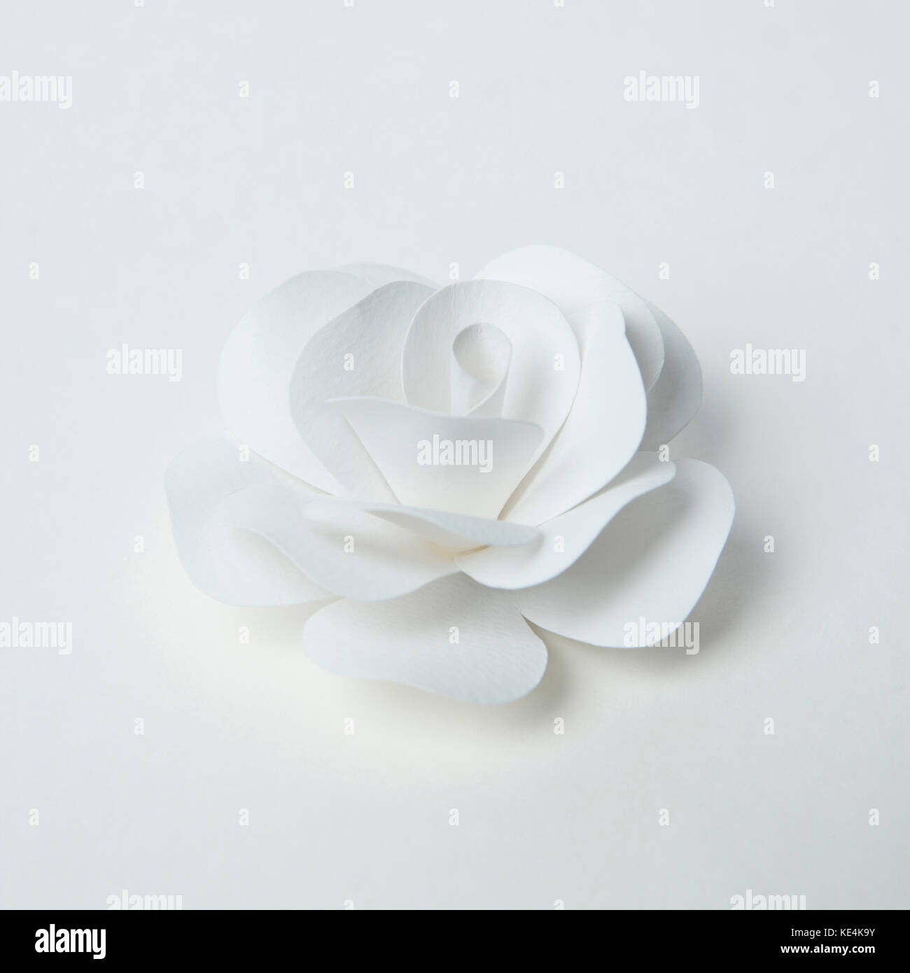 One white flower, paper artwork Stock Photo - Alamy