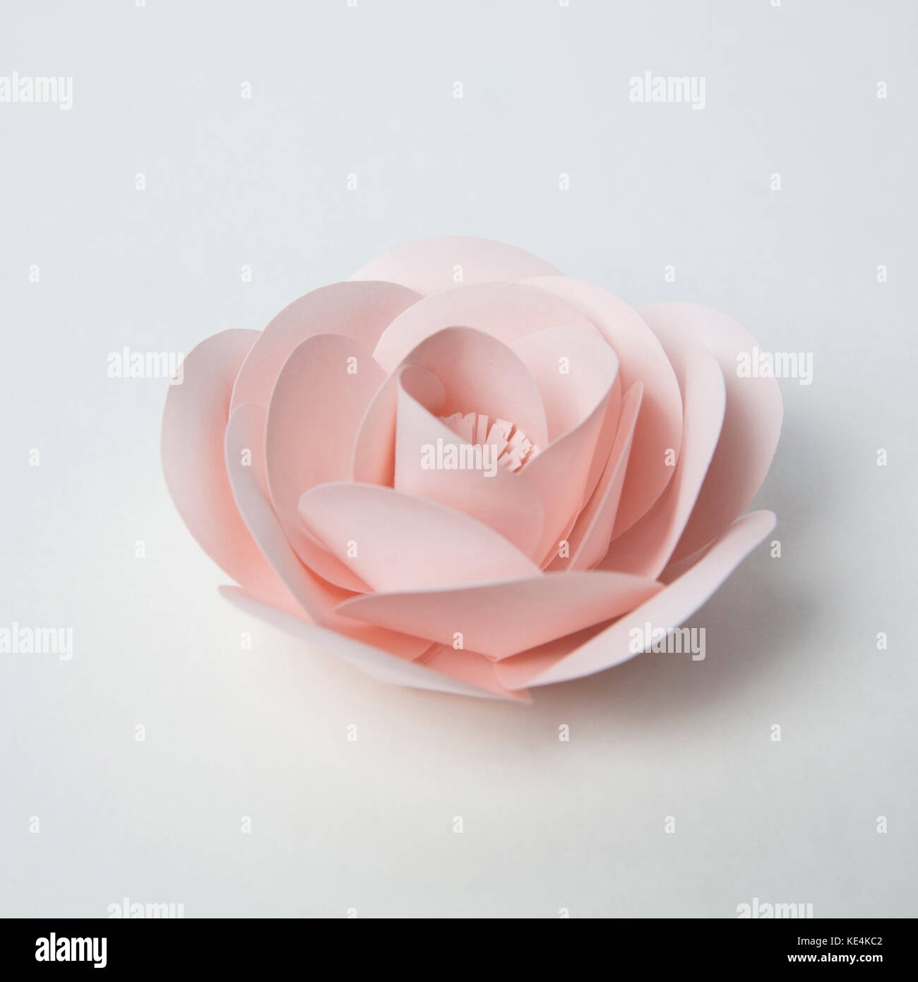 One pink flower, paper artwork Stock Photo - Alamy