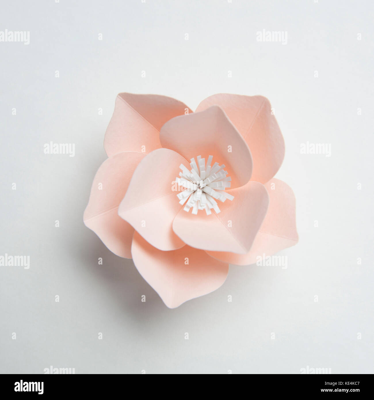 One pink flower, paper artwork Stock Photo - Alamy