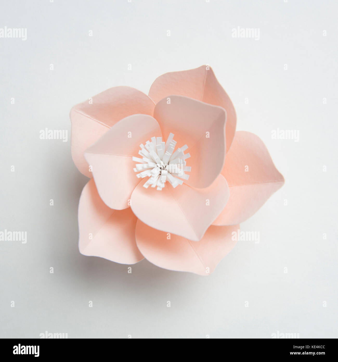 One pink flower, paper artwork Stock Photo - Alamy