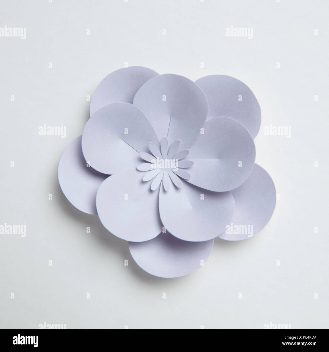 One blue flower, paper artwork Stock Photo - Alamy