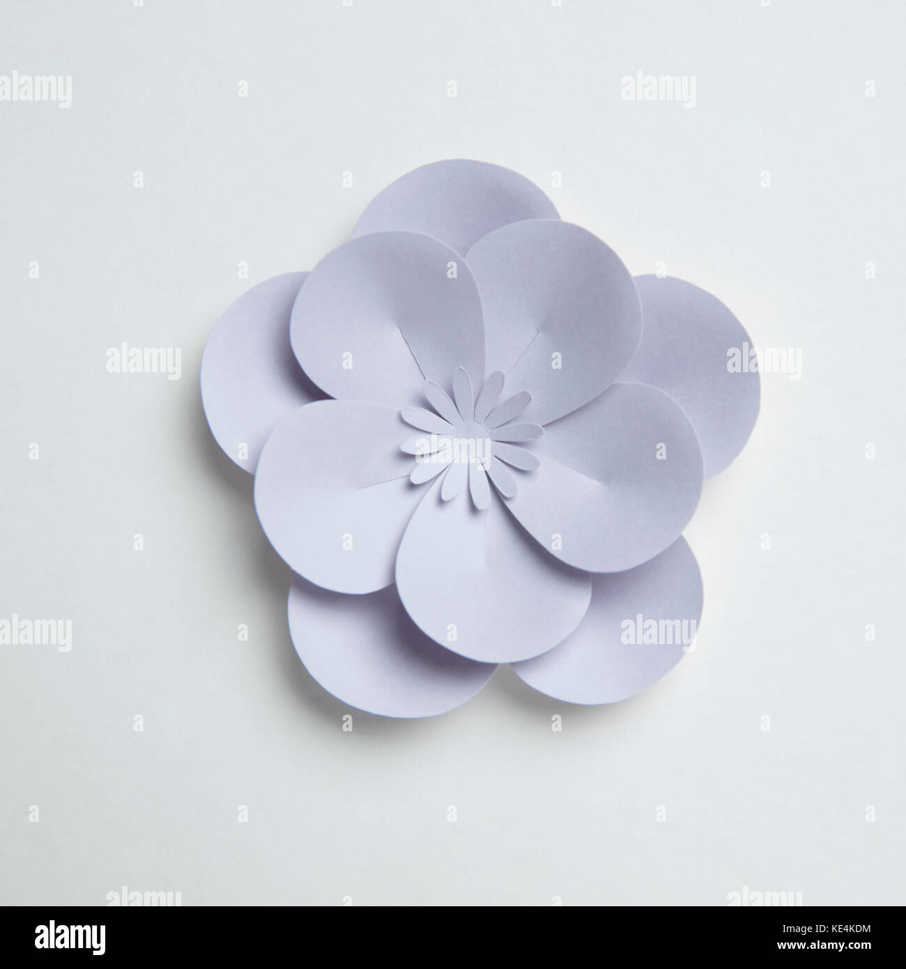 One blue flower, paper artwork Stock Photo - Alamy