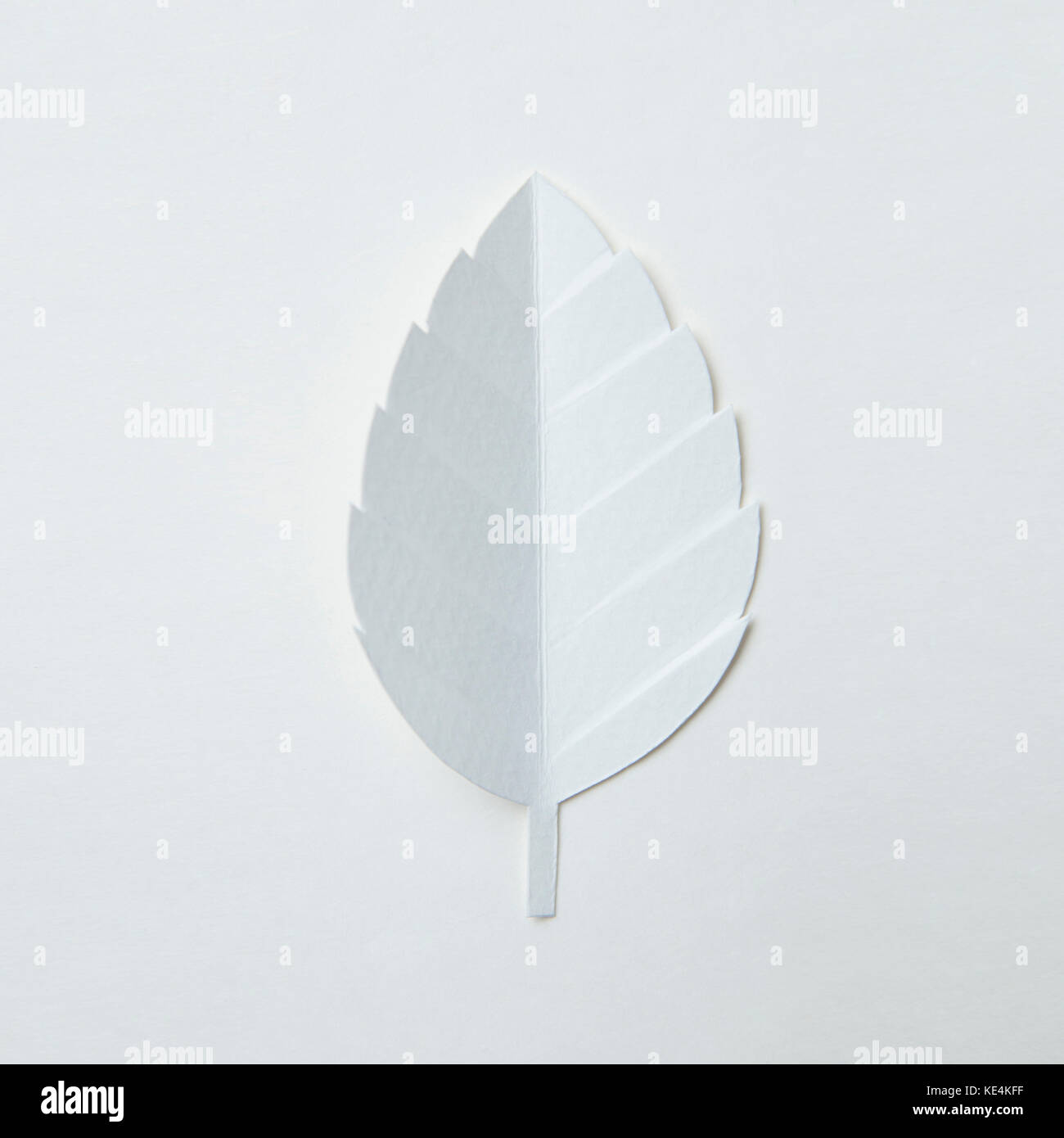 One white leaf, paper artwork Stock Photo - Alamy
