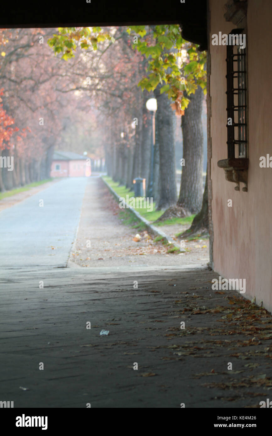 autumn leaves in Lucca - Italy Stock Photo - Alamy