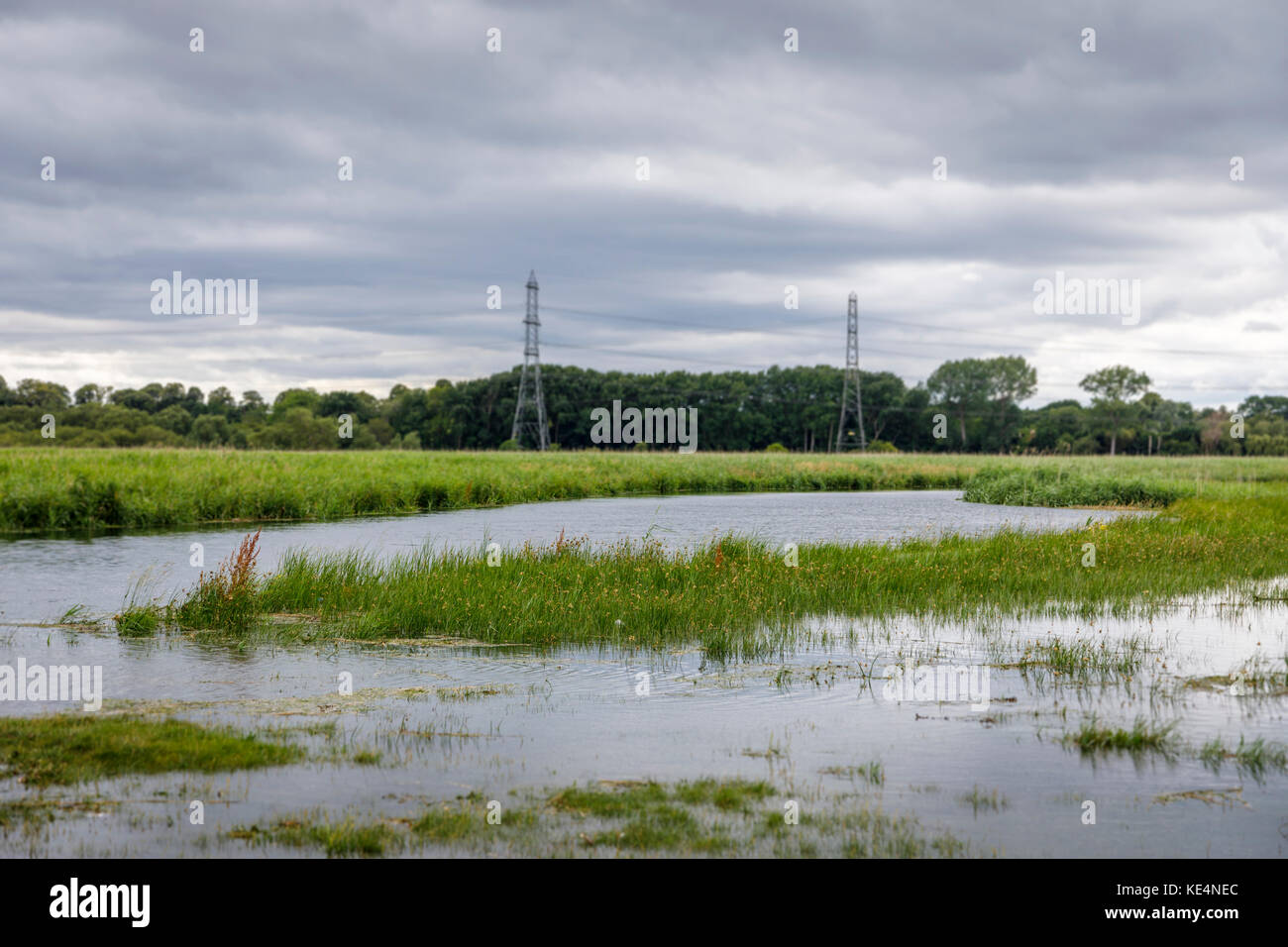 Tidal flats on the lower River Test in the Test Valley estuary into ...