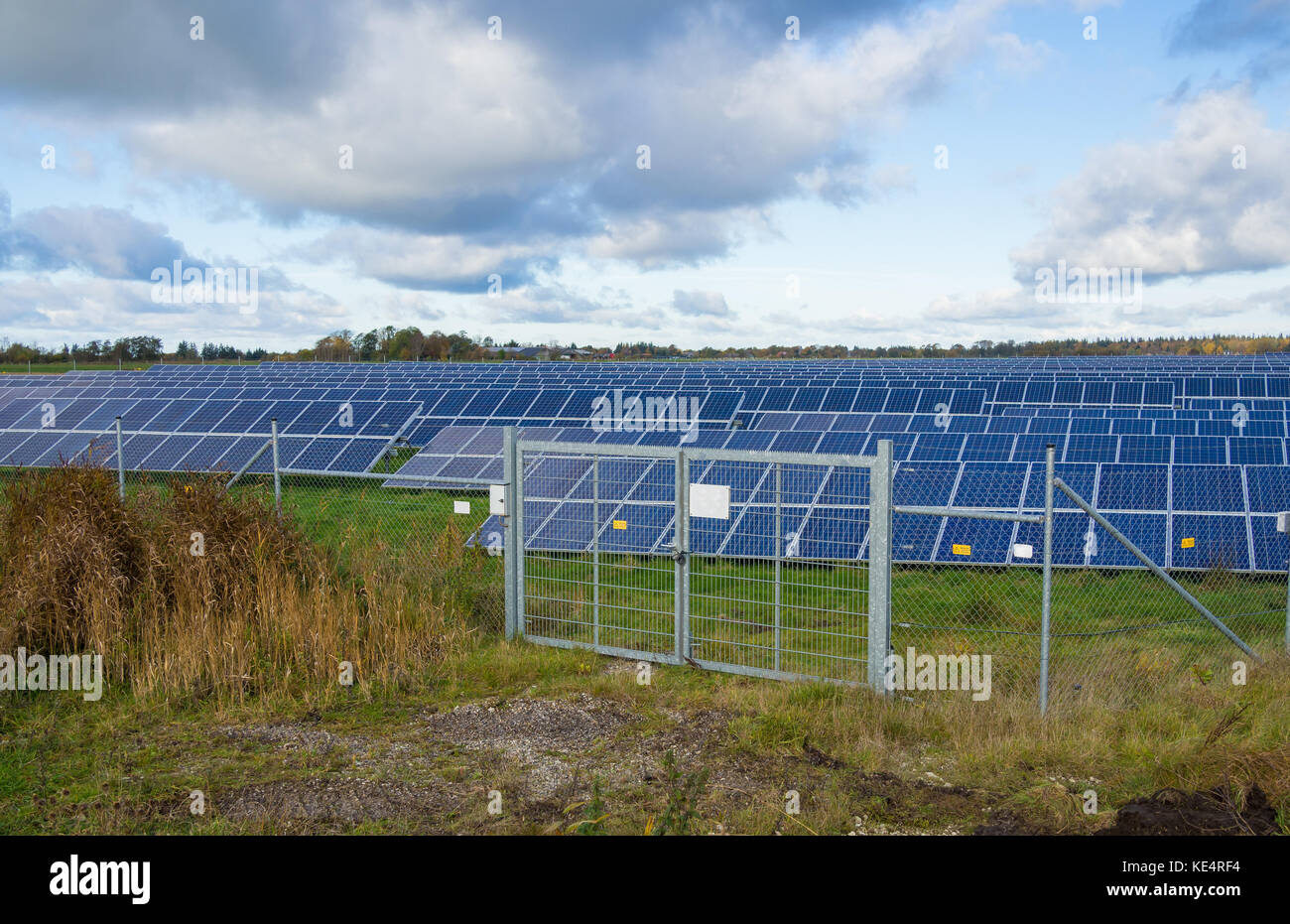 Solar panel or photovoltaic farm behind metal fence on green field with ...