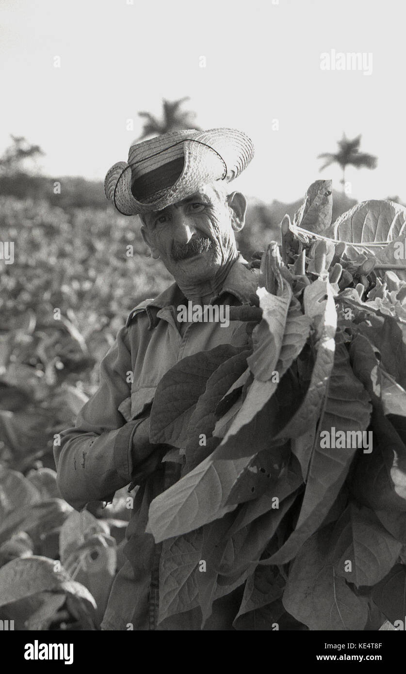 1980s 80s 1980s 80s eighties hi-res stock photography and images - Alamy