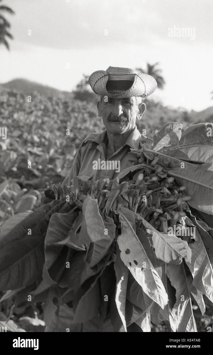 1980s 80s 1980s 80s eighties hi-res stock photography and images - Alamy