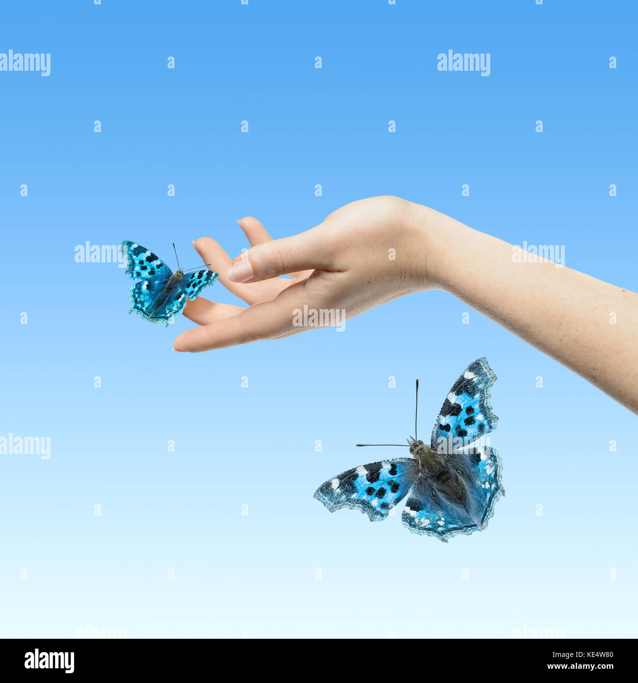 Letting Go Of Hand High Resolution Stock Photography and Images - Alamy