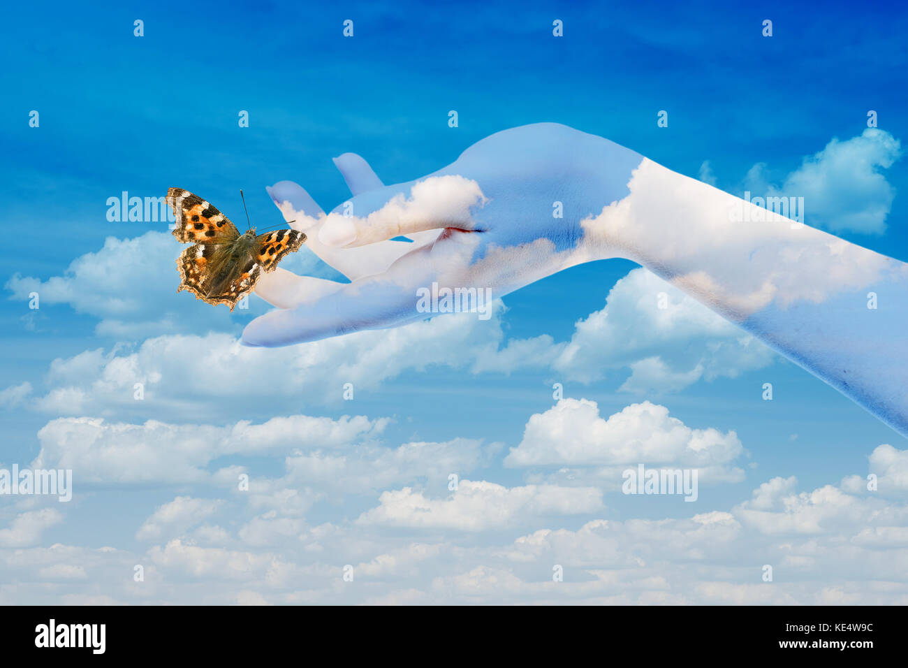 Womans hands letting the butterfly be free to go Stock Photo - Alamy