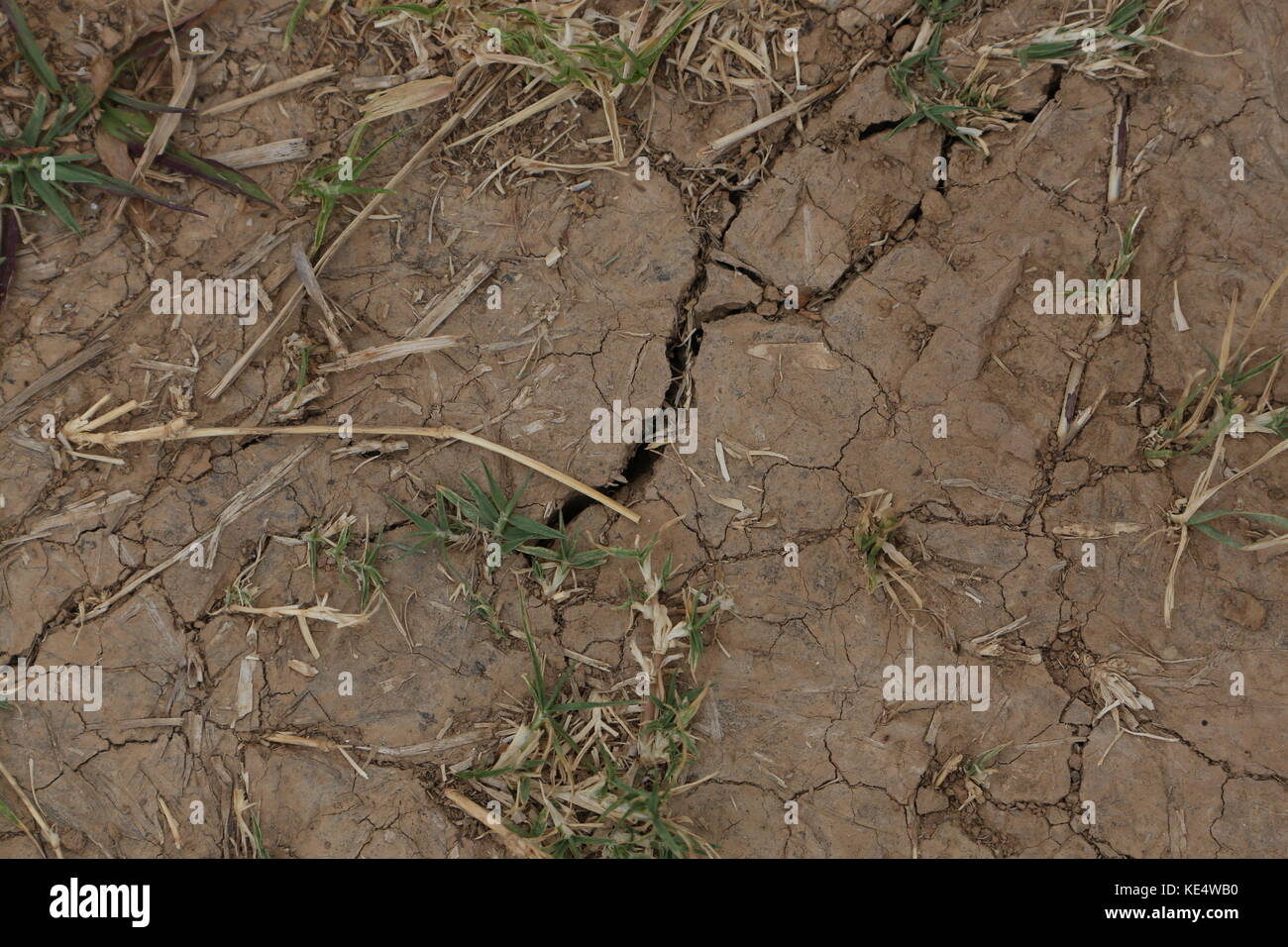 Arid dry soil in hi-res stock photography and images - Alamy