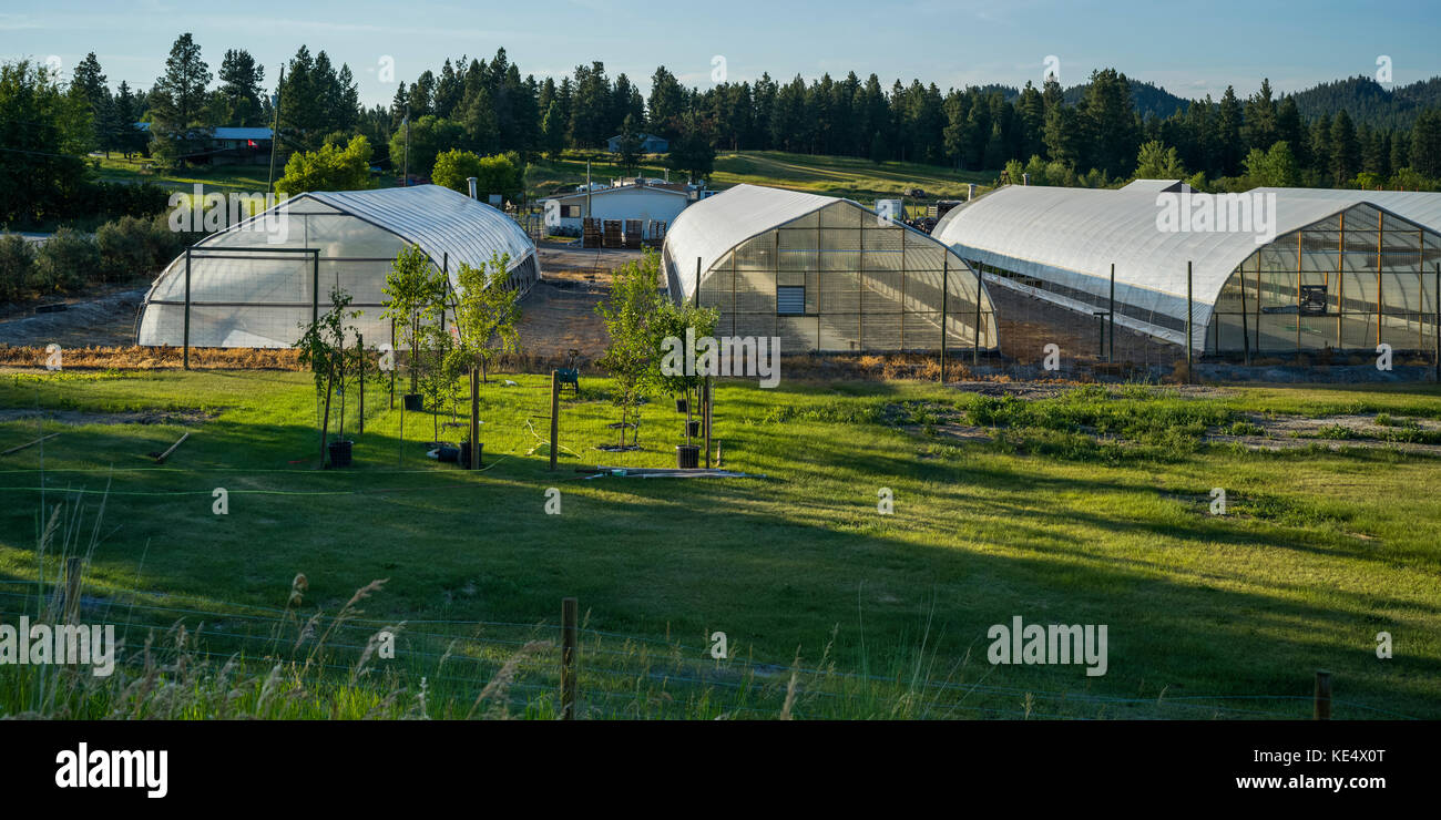 Large greenhouses hi-res stock photography and images - Alamy