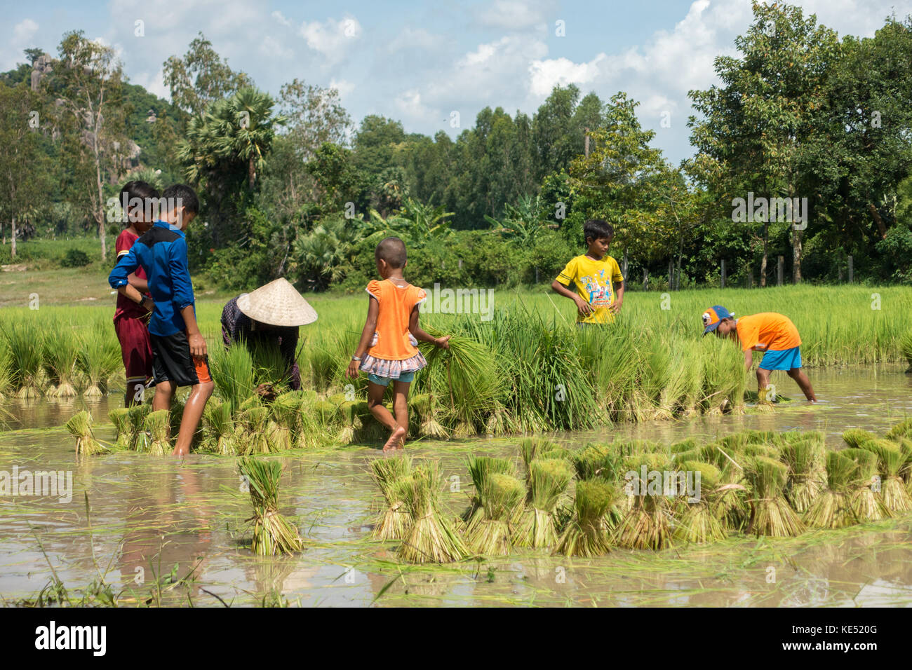 Child Labor Field High Resolution Stock Photography and Images - Alamy