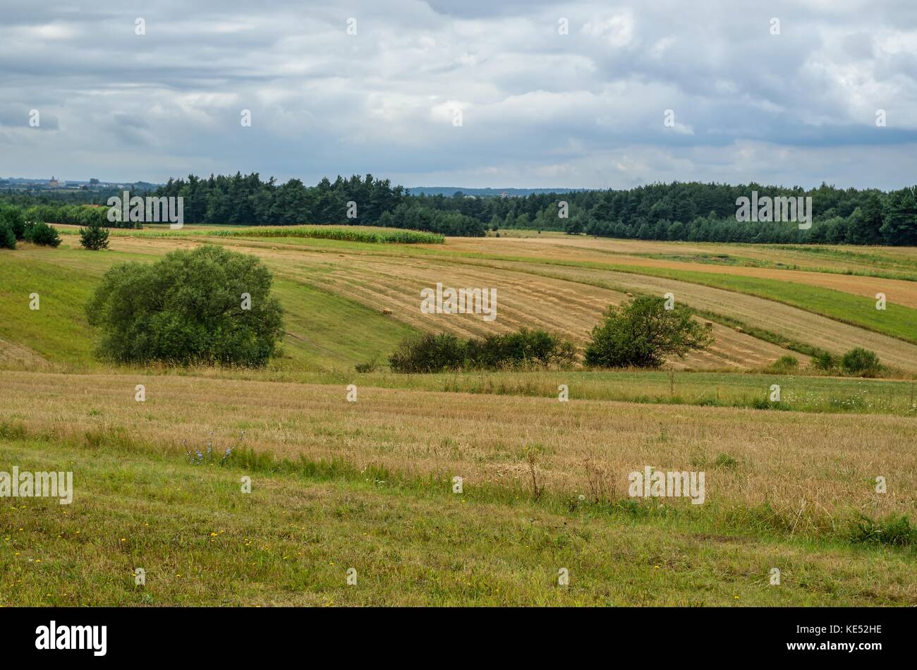 Rural summer landscape. Hills with fields in cloudy summer scenery ...