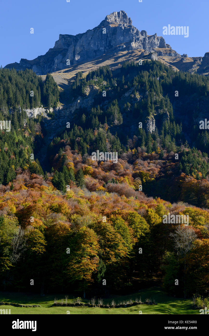 Autumn landscape of Engelberg on the Swiss alps Stock Photo - Alamy