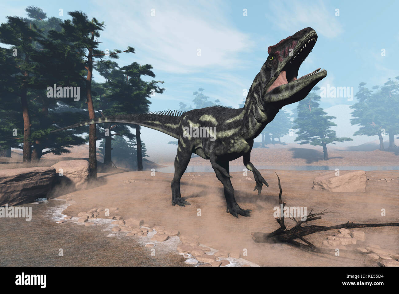 Allosaurus dinosaur roaring - 3D render Stock Photo - Alamy