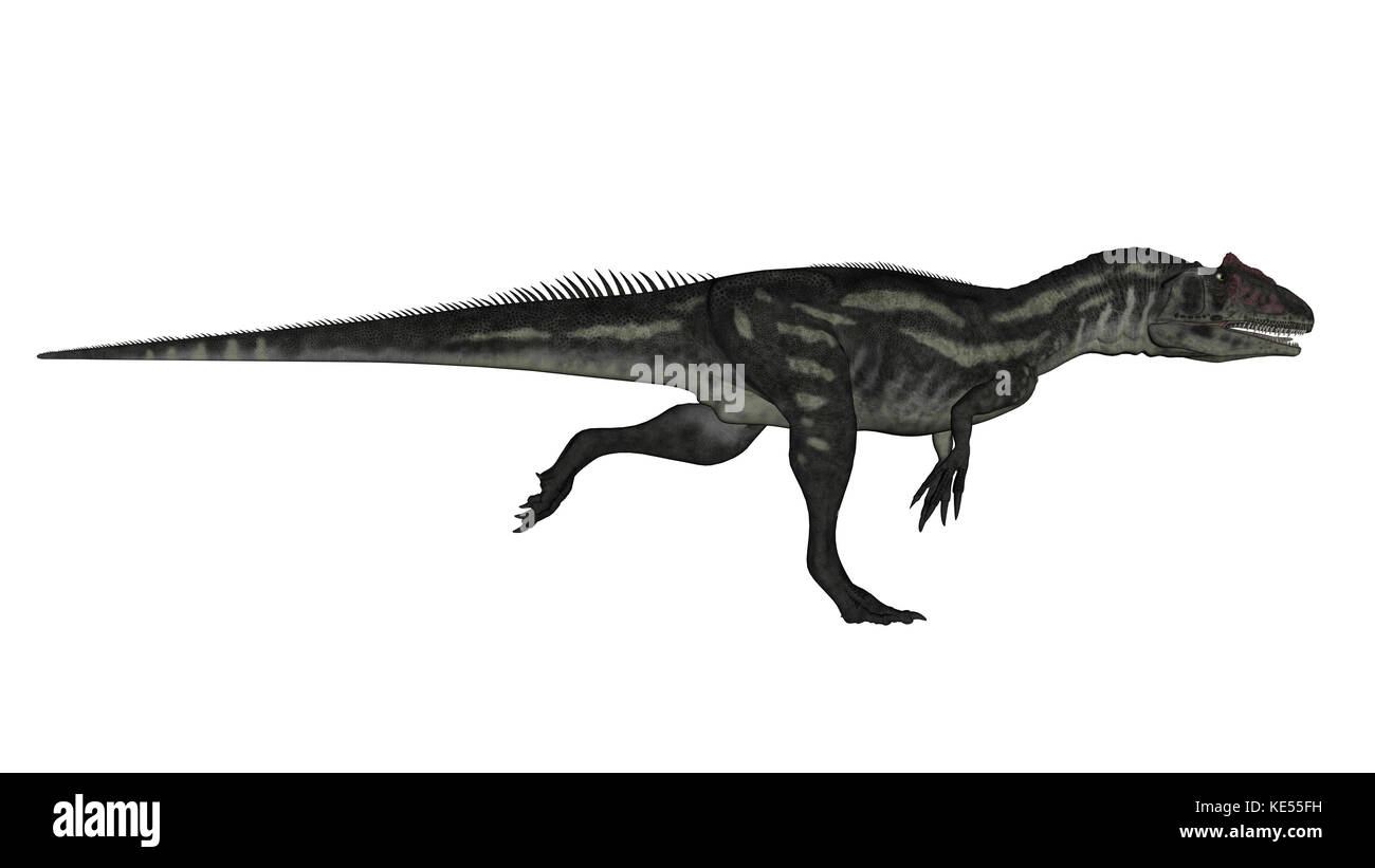 Allosaurus dinosaur running, white background Stock Photo - Alamy