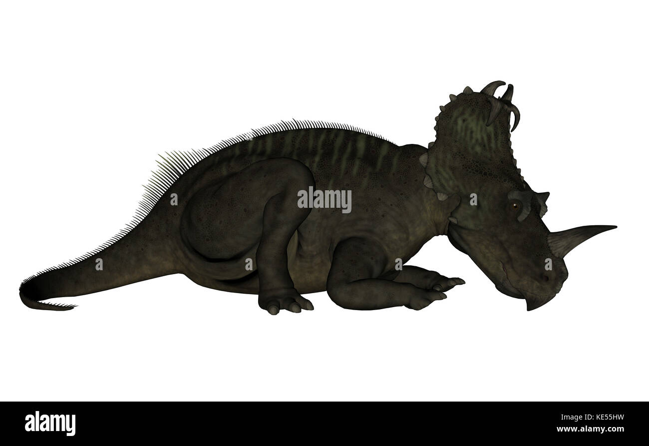 Centrosaurus dinosaur resting, white background Stock Photo - Alamy