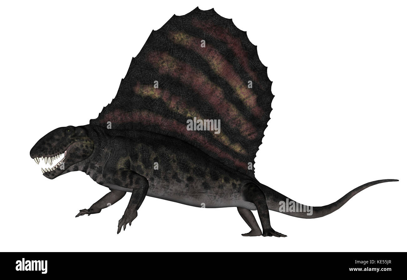 Dimetrodon dinosaur - 3D render Stock Photo - Alamy