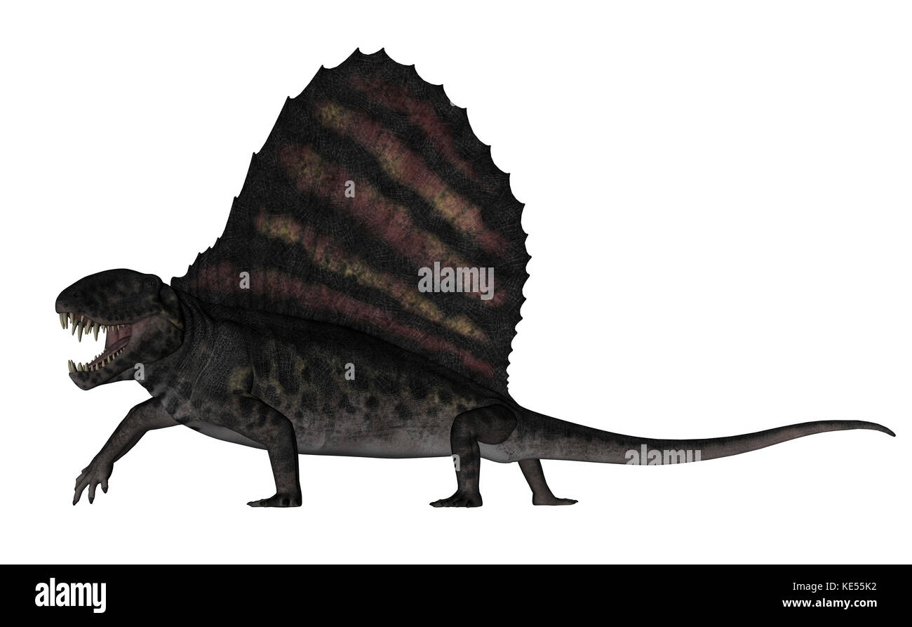 Dimetrodon dinosaur hi-res stock photography and images - Alamy