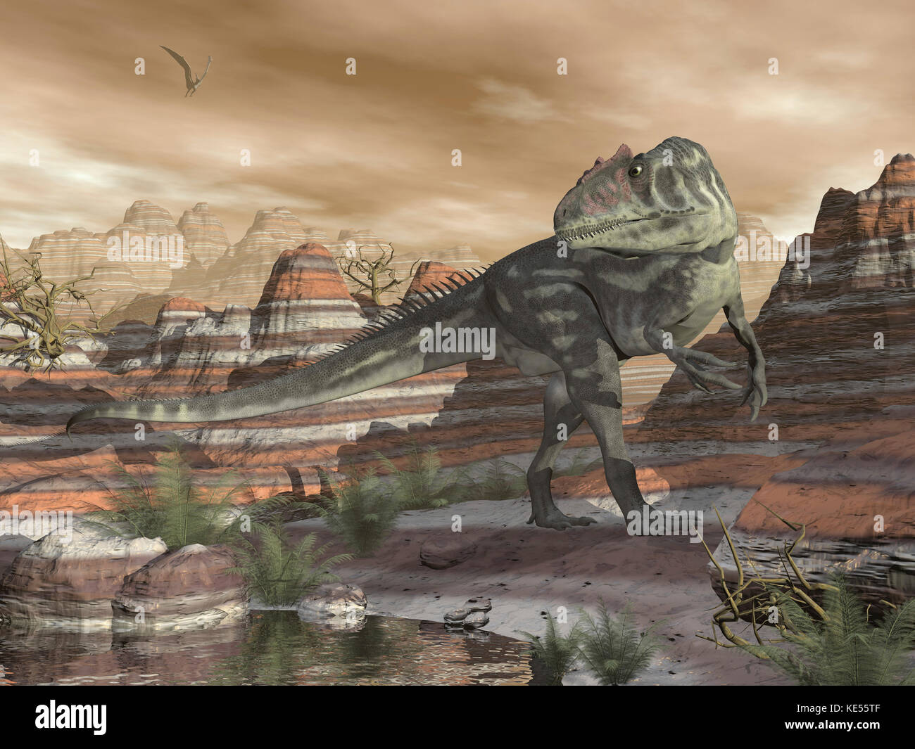 Allosaurus dinosaur walking in the desert canyon by sunset Stock Photo ...