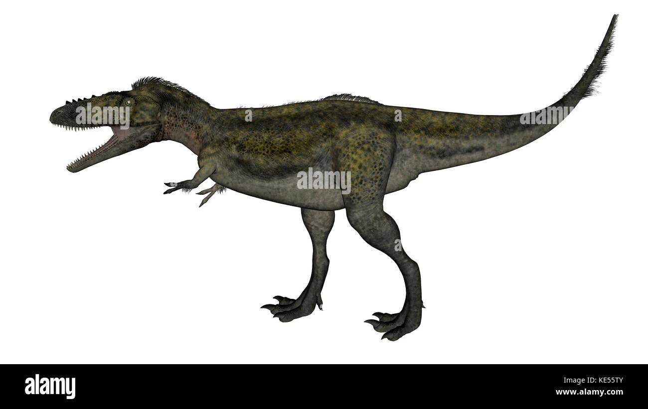 Alioramus dinosaur isolated on white background Stock Photo - Alamy