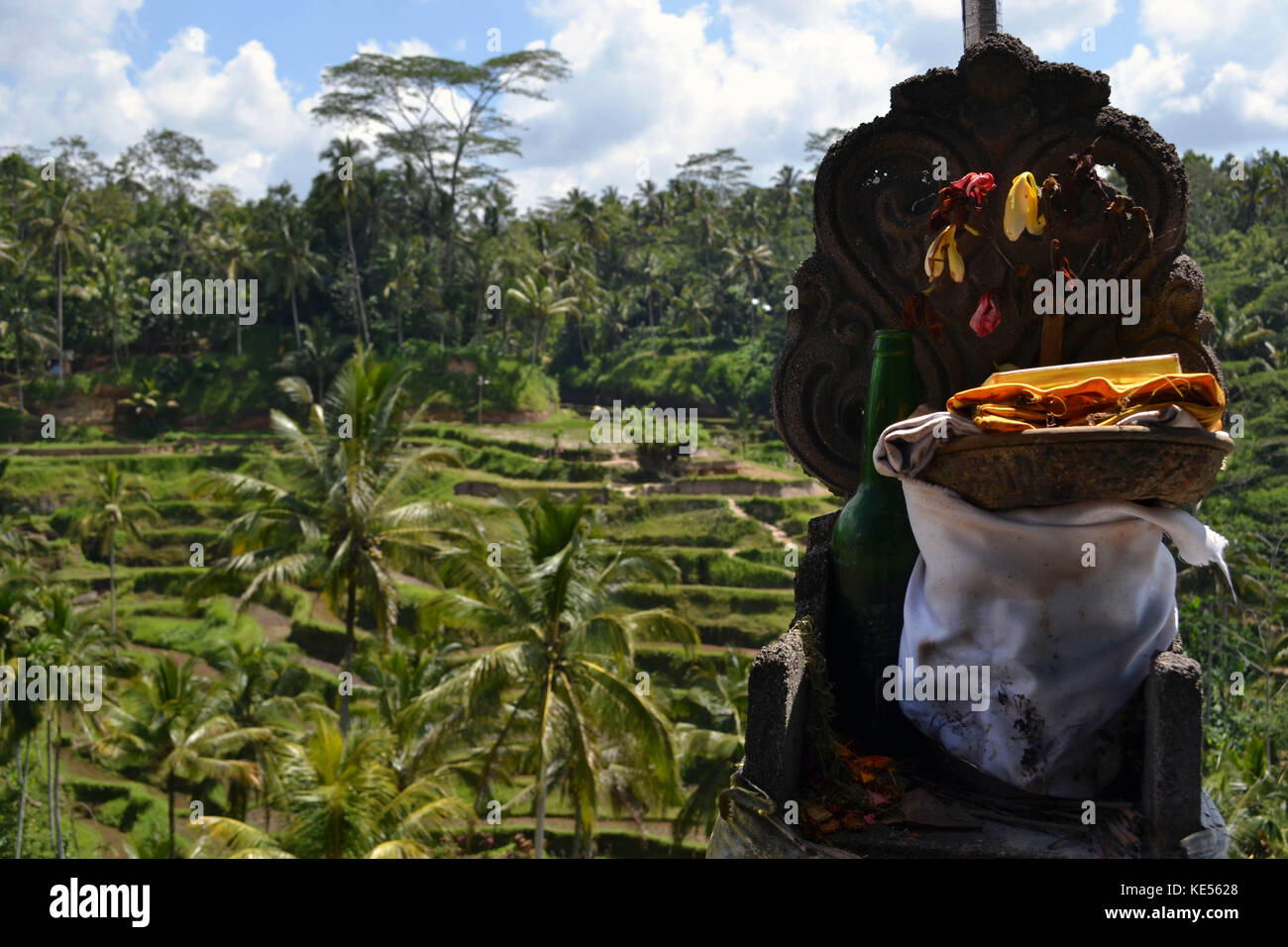 The rice field in Ubud - Bali. It's constructed using a philosophy of ...