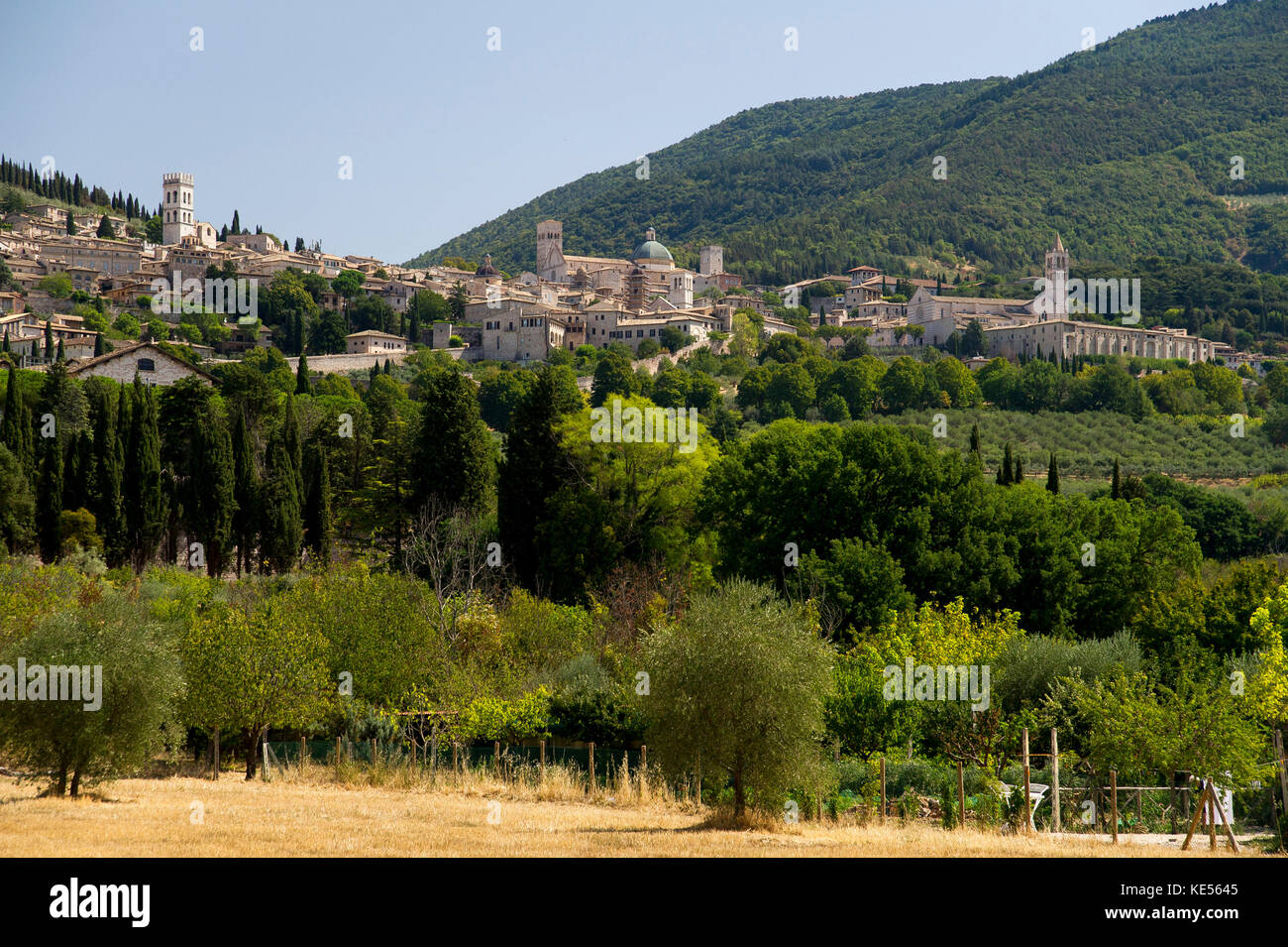 City of Assisi with Cattedrale di San Rufino (Assisi Cathedral of Saint ...