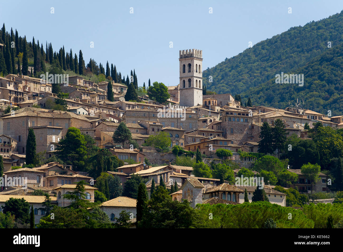 Ancient Roman Tempio di Minerva (Temple of Minerva), now Chiesa di ...