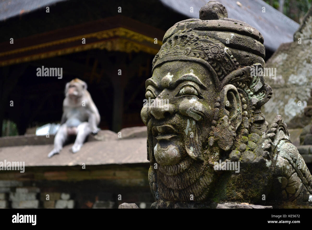The monkeys around a temple in Bali, Indonesia Stock Photo - Alamy
