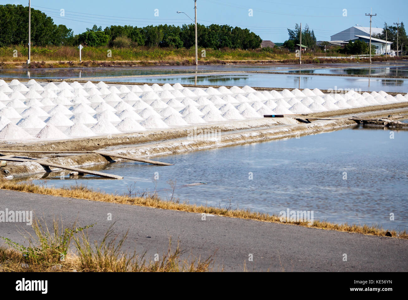 salt farm in thailand Stock Photo - Alamy