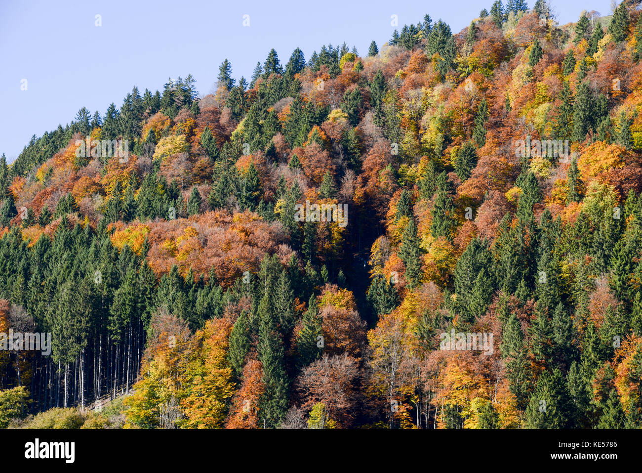 Autumn landscape of Engelberg on the Swiss alps Stock Photo - Alamy